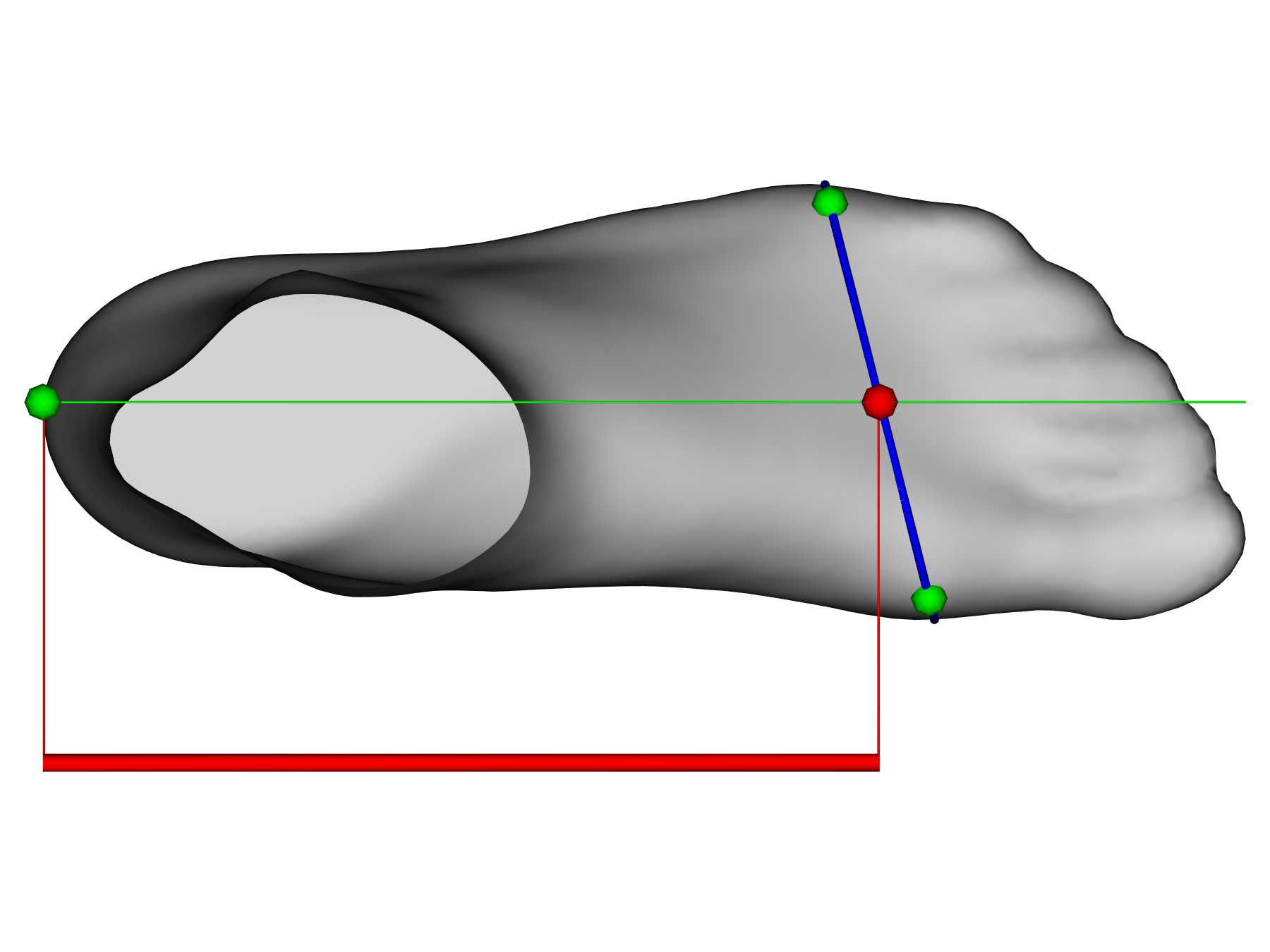 Feet Metrics Catalog