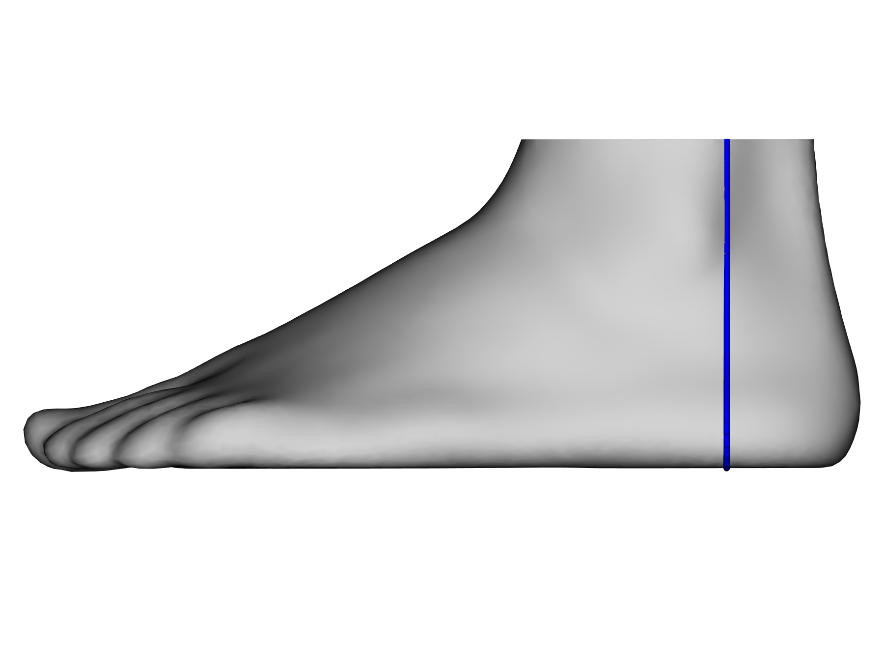 Feet Metrics Catalog
