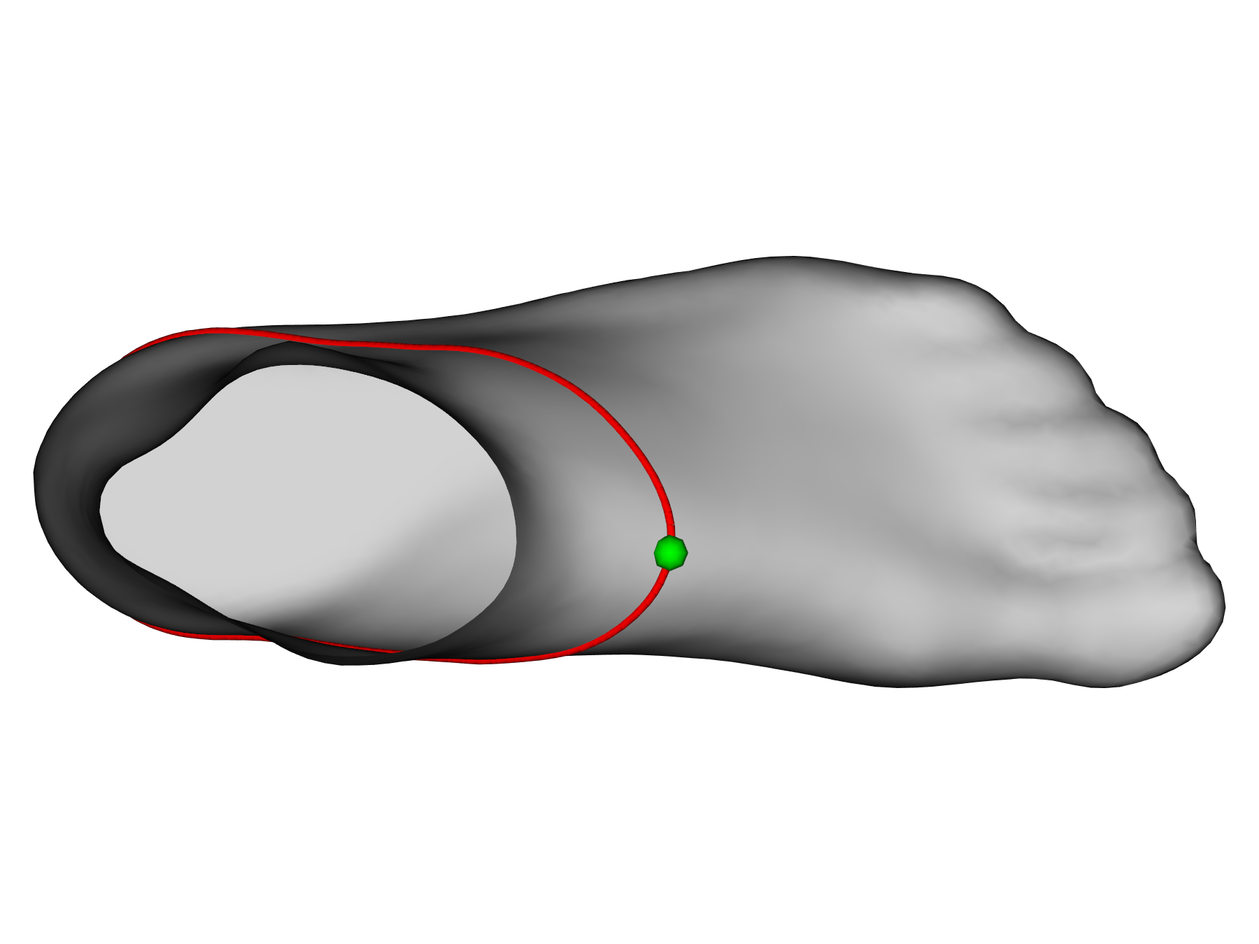 Feet Metrics Catalog
