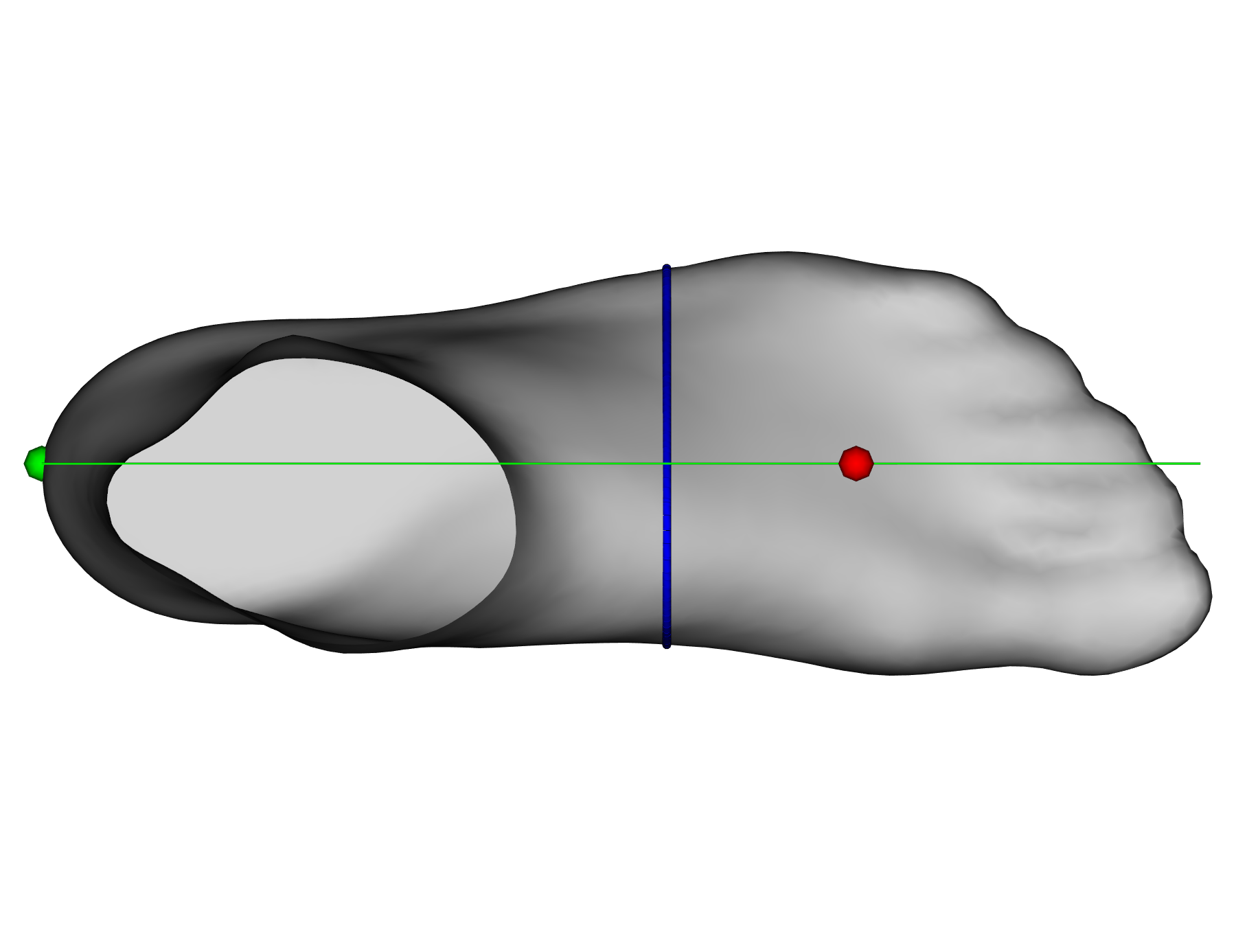 Feet Metrics Catalog
