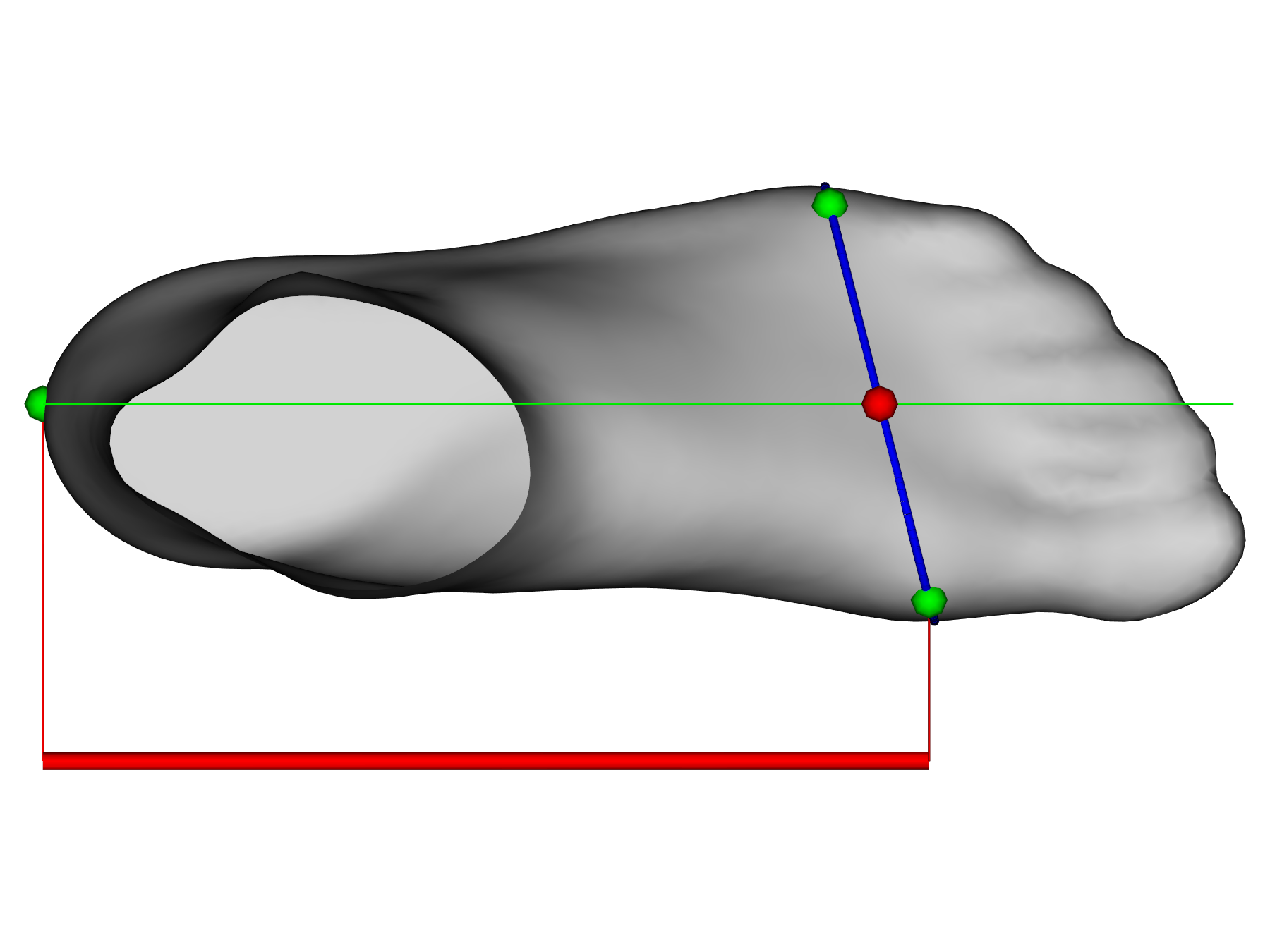 Feet Metrics Catalog