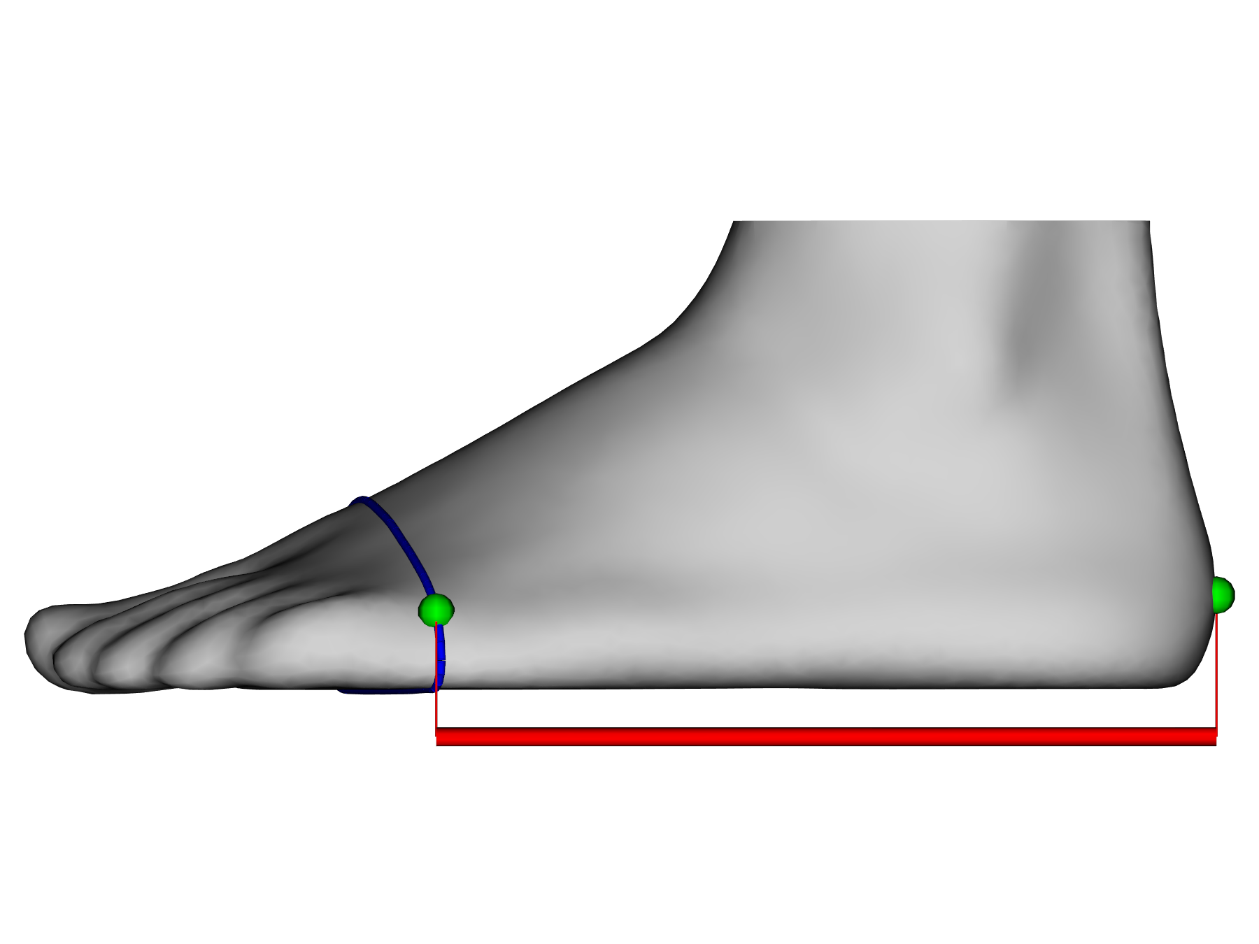 Feet Metrics Catalog
