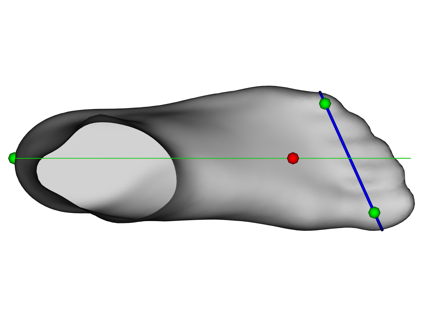 Feet Metrics Catalog